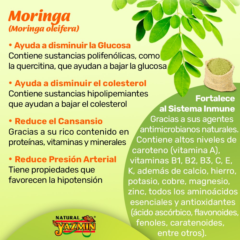 Moringa | 150 Cápsulas de 400mg | Natural Yazmin®
