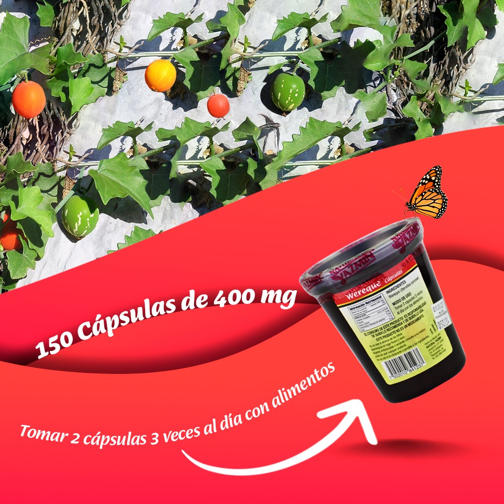 Wereke | 150 Cápsulas de 400mg | Natural Yazmin®