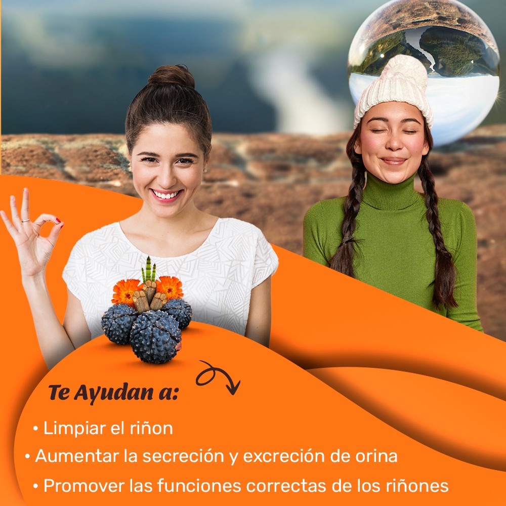 Riñosan Limpiador Riñones | 150 Cáps 400mg | Natural Yazmin®
