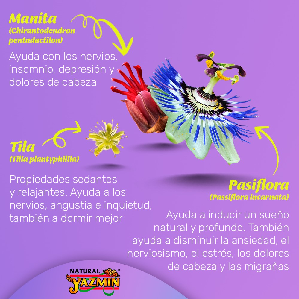 Neurostrong Jarabe 240 ml | Natural Yazmin®