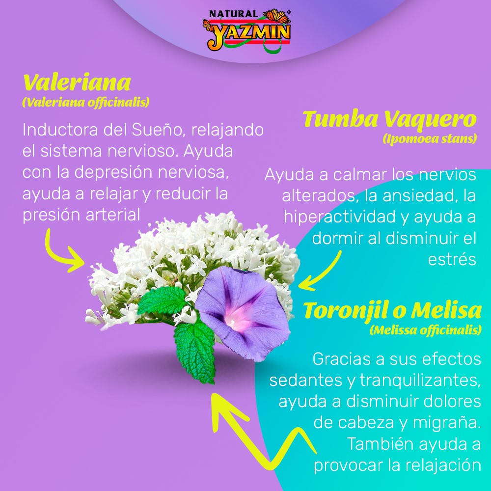 Neurostrong Jarabe 240 ml | Natural Yazmin®