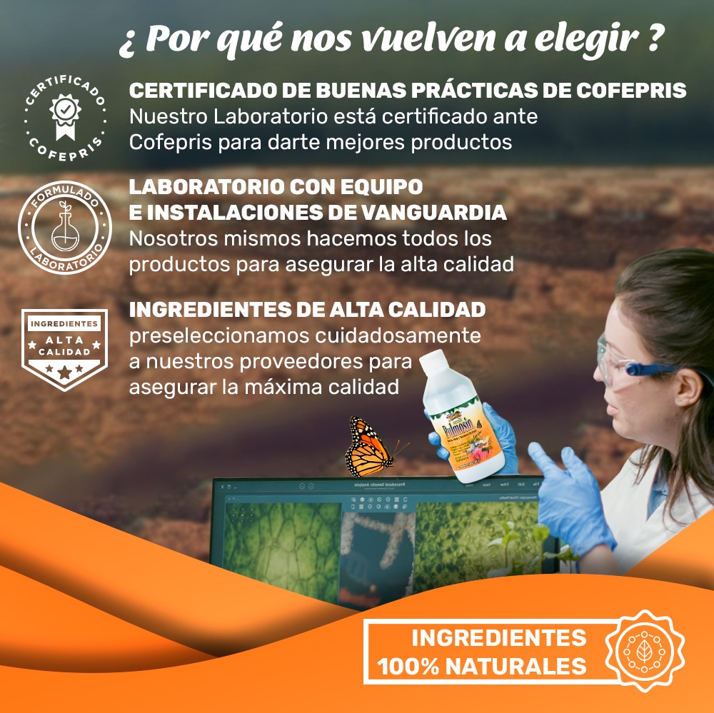 Pulmosin Jarabe 240 ml | Natural Yazmin®