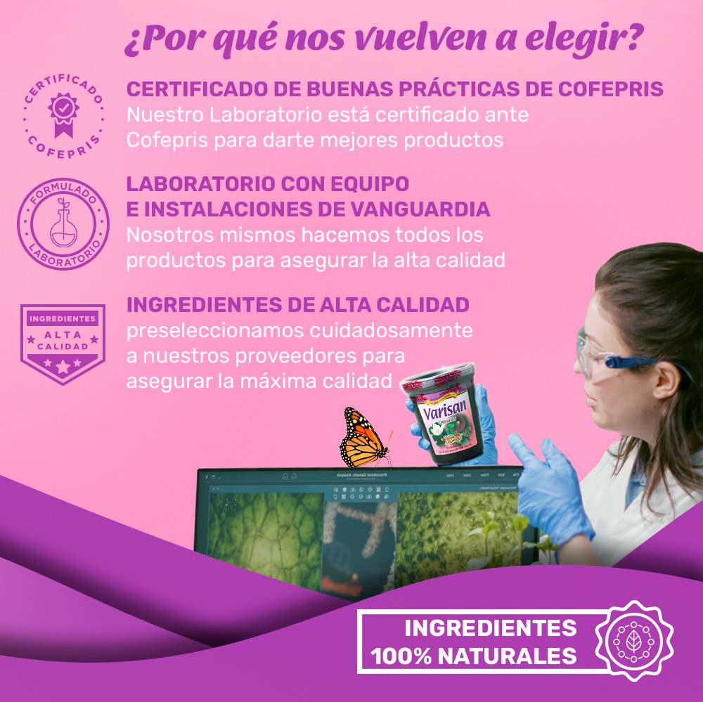 Varisan | 150 Pastillas [Cápsulas] 400mg | Natural Yazmin®